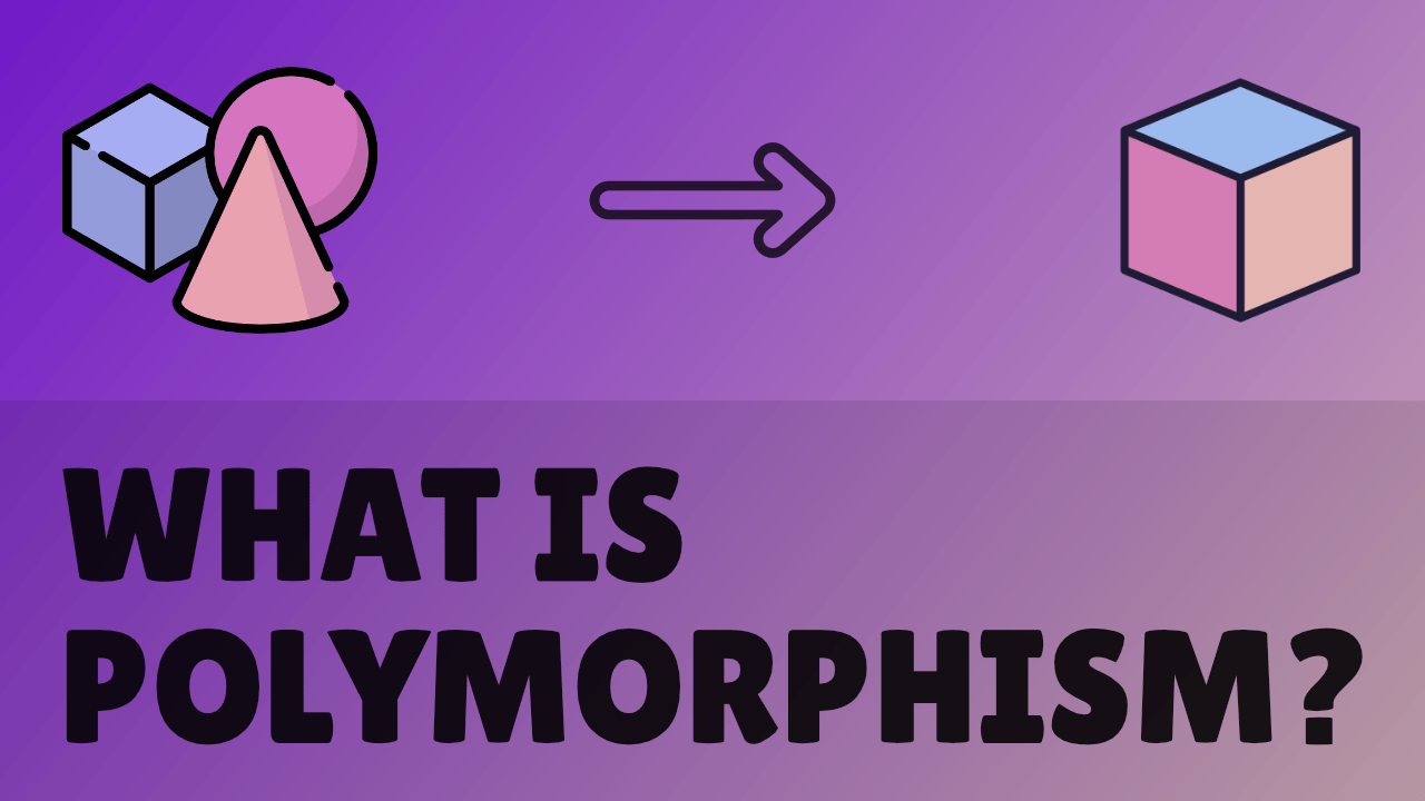 What is Polymorphism? | Taha Shashtari